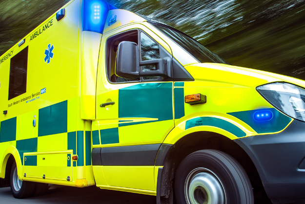Ambulance visit - Greater Horseshoe